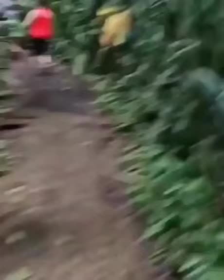 Puma is hungry - Meme by Kruegernapoleon :) Memedroid