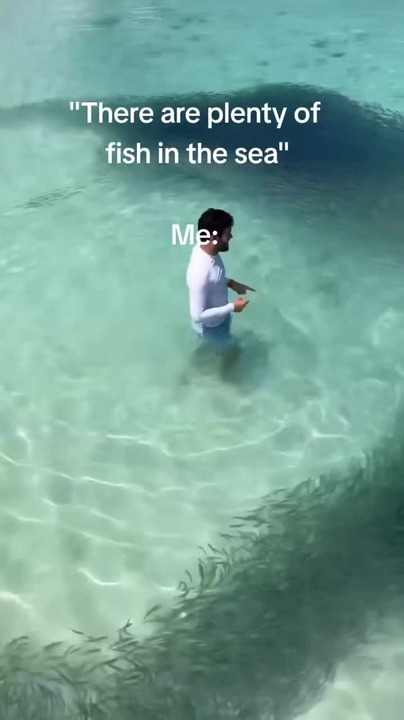 The stingrays are the red flags - Meme by Ilewww :) Memedroid