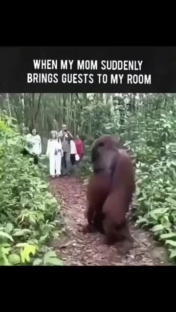 Hello there - Meme by GoatLEAD :) Memedroid