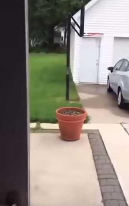 where are you? - Meme by MeekMeme :) Memedroid