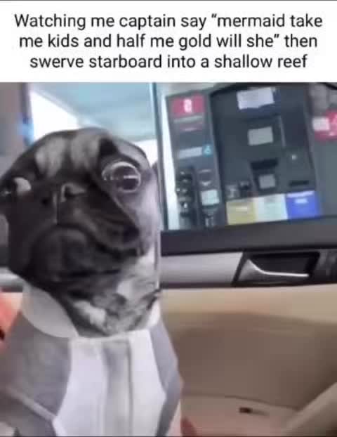 Captain - Meme by Knot_daddy :) Memedroid