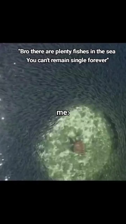 me irl - Meme by fuliani :) Memedroid