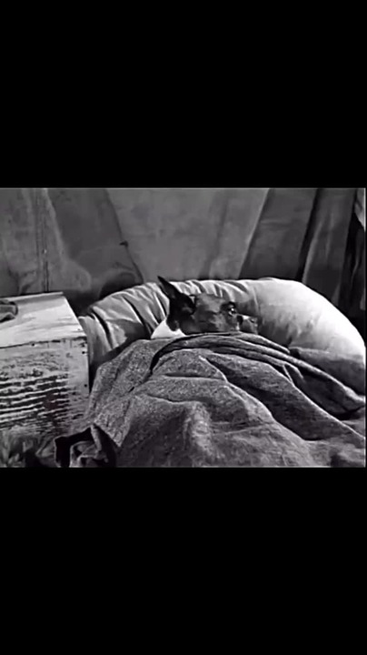 A masterpiece - Meme by Aldea :) Memedroid