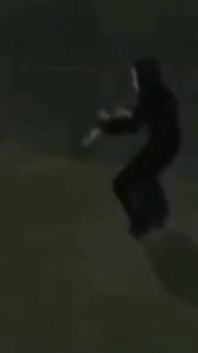 Wazaaa - Meme subido por Gaby103 :) Memedroid