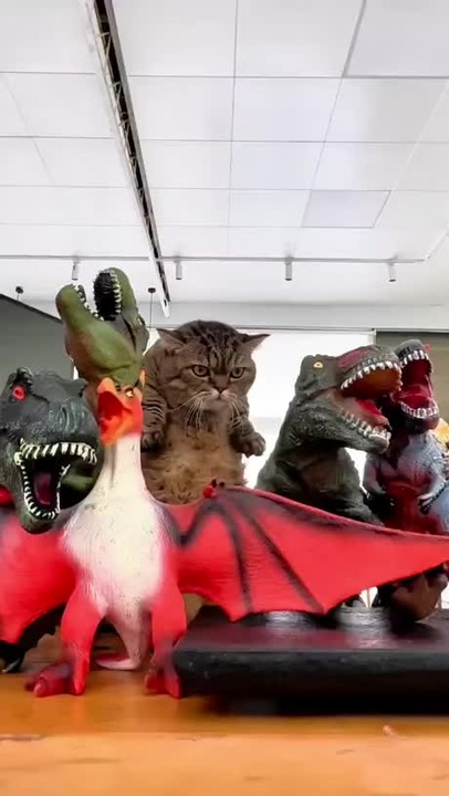 Very scary cat - Meme by NouSIii :) Memedroid