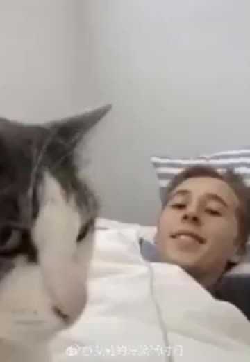 Tt - Meme by Ttlegend19 :) Memedroid