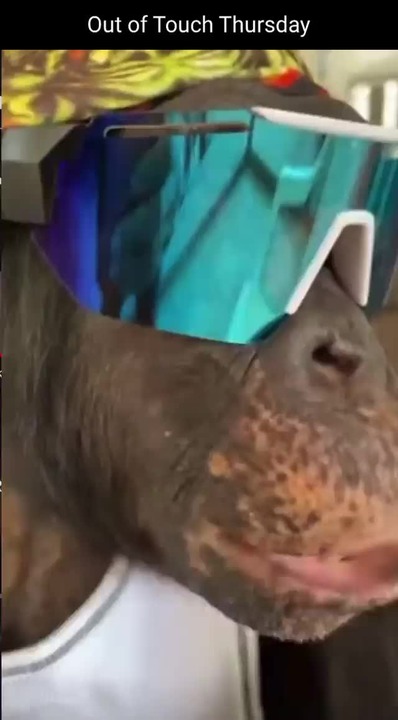 Out of touch Thursday - Meme by Ghxsty :) Memedroid