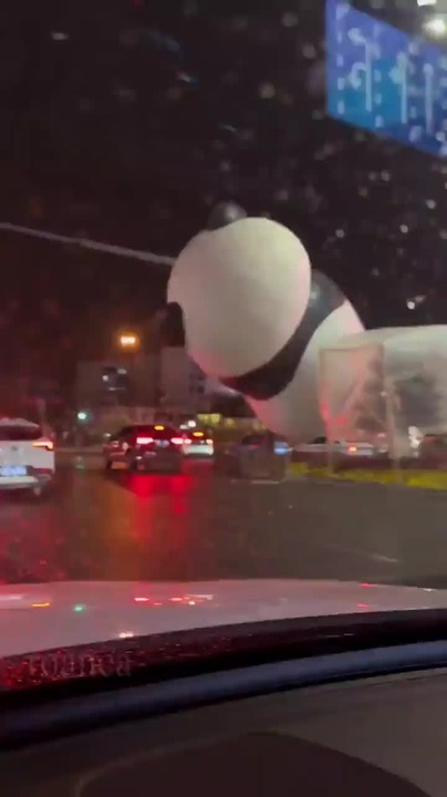 Aplastados por un panda gigante - Meme subido por Alextrex10 :) Memedroid