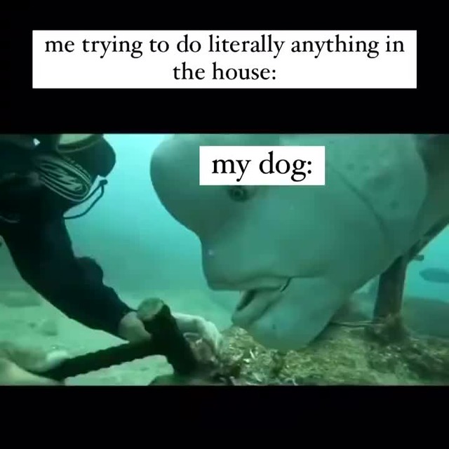 exactly - Meme by bletchley :) Memedroid