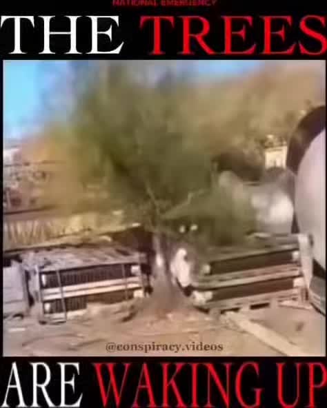 There alive - Meme by Knot_daddy :) Memedroid