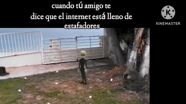 El chiste es que los estafadores saludan de forma amigable cuando en ...
