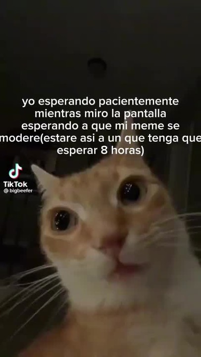 Esperando... - Meme subido por El_Vergudo :) Memedroid