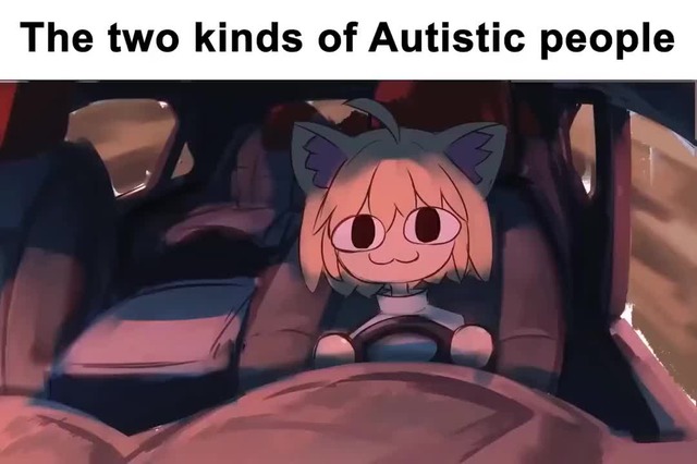Las dos clases de autista - Meme subido por Yoquesesoloentre :) Memedroid
