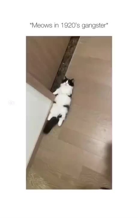 What the heck? - Meme by schizoidman :) Memedroid