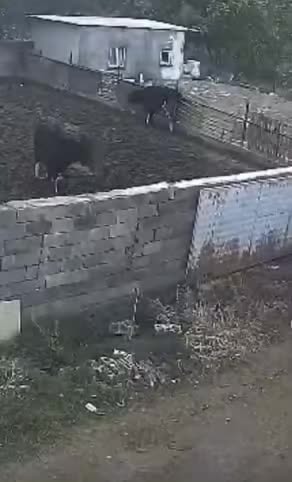 Control - Meme by oceanapple :) Memedroid