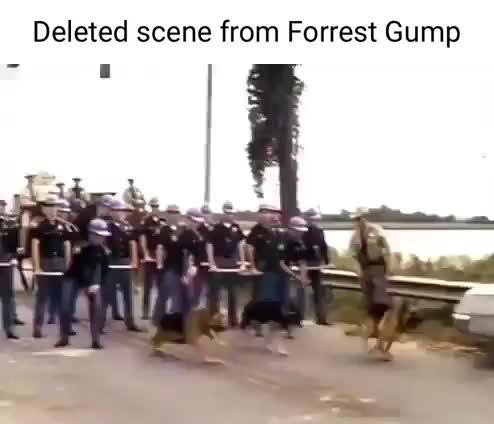 Deleted scen from Forrest Gump - Meme by kingacid :) Memedroid