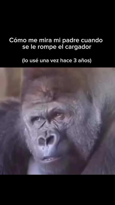 Mi padre viendo el cargador como si yo lo hubiera matado - Meme subido ...