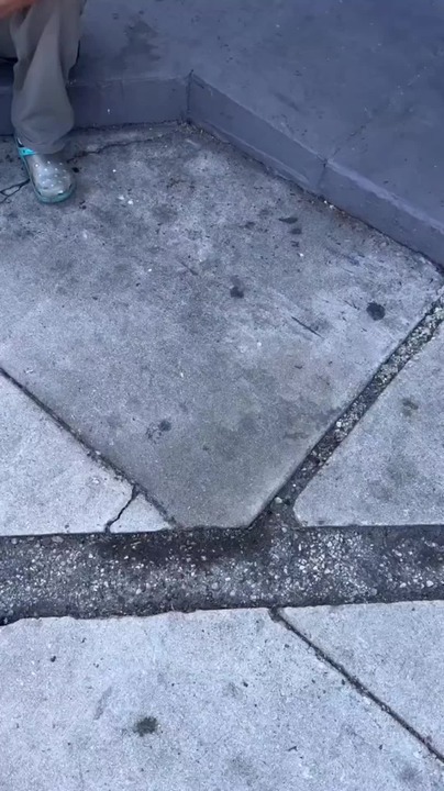 Bagabundo hace Tik Toks - Meme by AlexFlores123 :) Memedroid