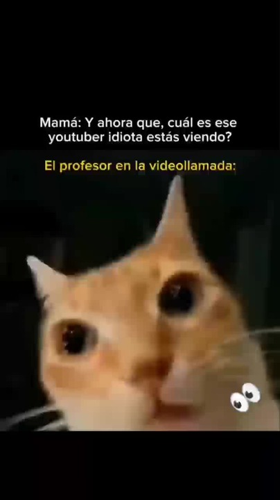 Meme de clases online - Meme subido por 0MariB8 :) Memedroid Meme de clases online - Meme subido por 0MariB8 :) Memedroid