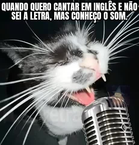 Alguém me recomenda um app de fazer meme com vídeo, e onde pega as ...