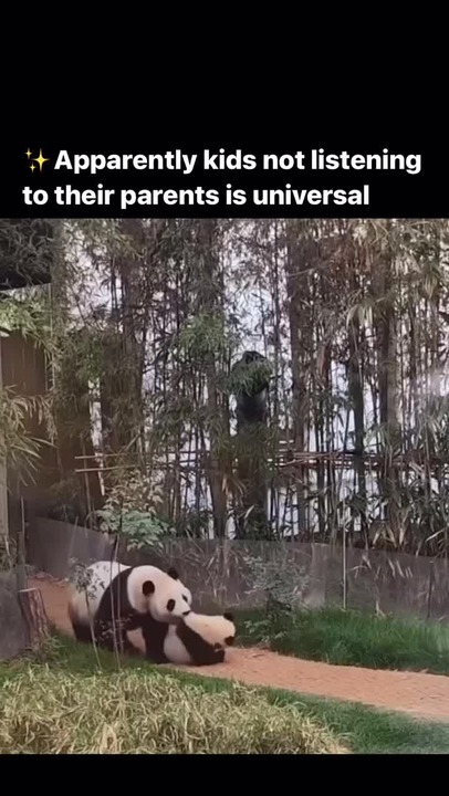 Her blank stare into the distance lmao - Meme by tyehoax :) Memedroid