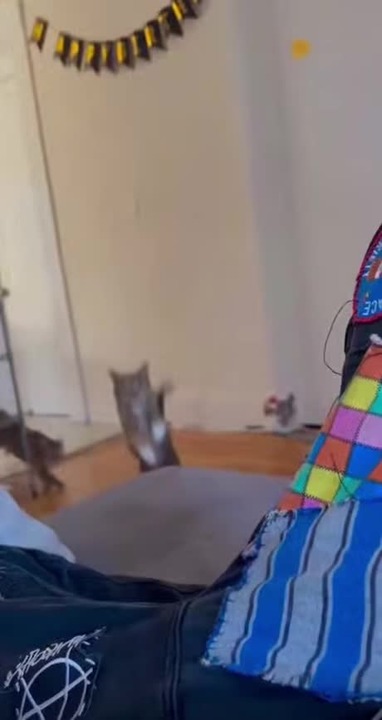 raging cat meme - Meme by ogbenjamin :) Memedroid