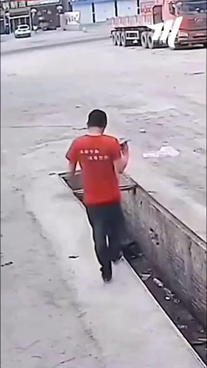 Wile E. Coyote - Meme by CampingIsStrategy :) Memedroid