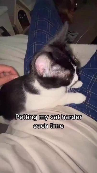 cato - Meme by 29deMaiode2023 :) Memedroid