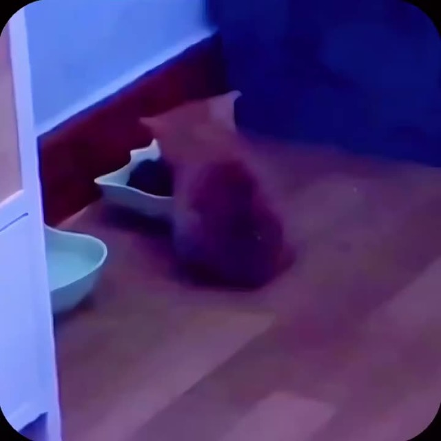 An angel singing - Meme by Jackfae :) Memedroid