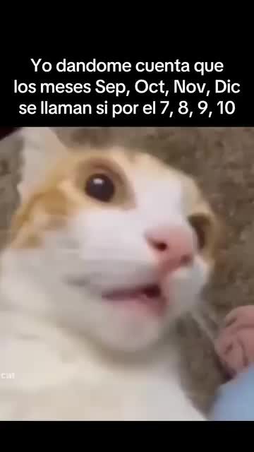 Yo entendiendo por qué octubre se llama así y explotando - Meme by ...