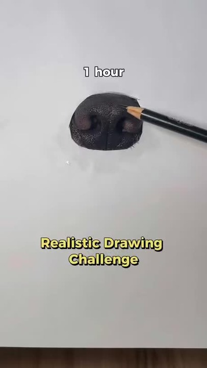 Realistic drawing challenge - Meme by KARGETER :) Memedroid
