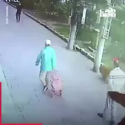 Bad cat - Meme by Disappointed_father :) Memedroid