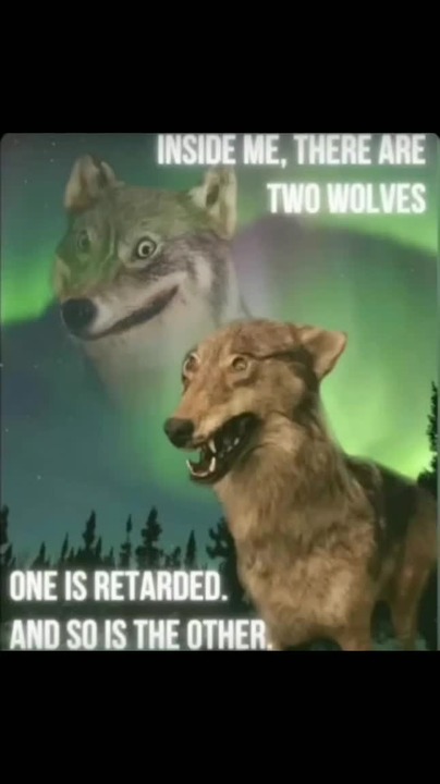 Correct - Meme by Everything :) Memedroid