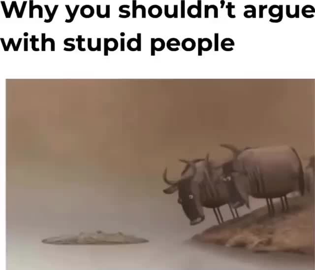 You shouldn't argue with stupid people - Meme by aypax :) Memedroid