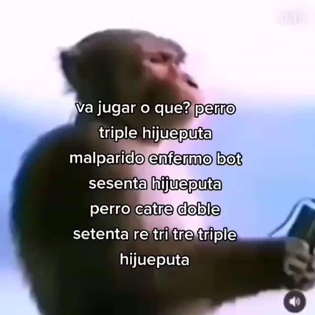 Pero si va a jugar? - Meme subido por davidcastilla :) Memedroid