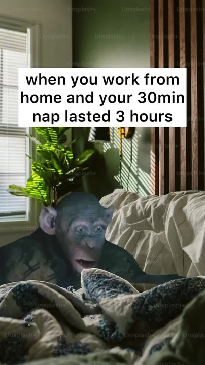 Work from home problems - Meme by mudhonor :) Memedroid