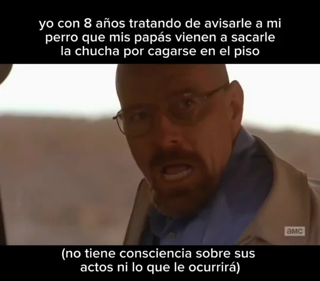 Perro - Meme subido por Sandro916 :) Memedroid