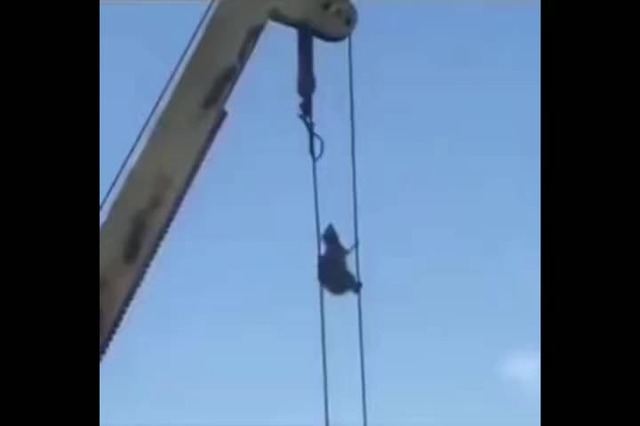 Adventurous - Meme by Cliffy_99 :) Memedroid