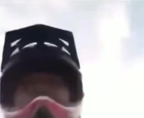 Hell yeah brother cat - Meme by FuzzyGrim :) Memedroid