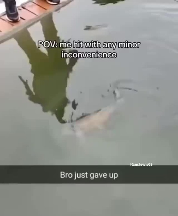 Fish giving up - Meme by isaidnope :) Memedroid