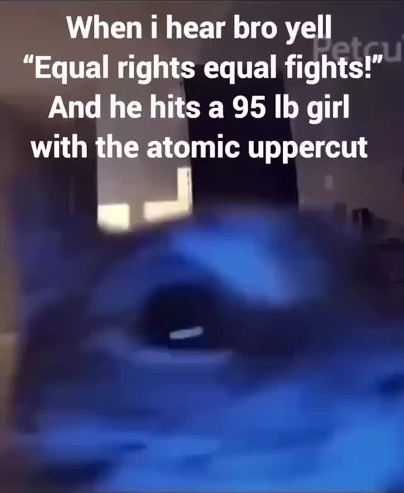Equal rights equal fights... until she drops the finisher - Meme by ...