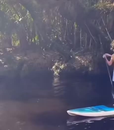 what a nice day to paddle - Meme by vaperWave :) Memedroid