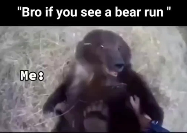 You can't convince me bears aren't chill - Meme by Bullet-ZAT :) Memedroid