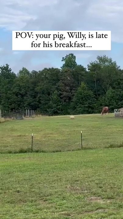 Plot twist: he is the breakfast - Meme by sdesethor :) Memedroid