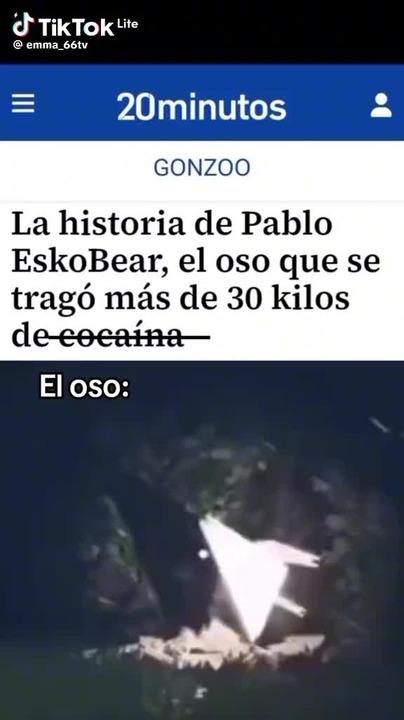 Oso vicioso, oso drogon, oso intoxicado, etc... - Meme subido por D ...