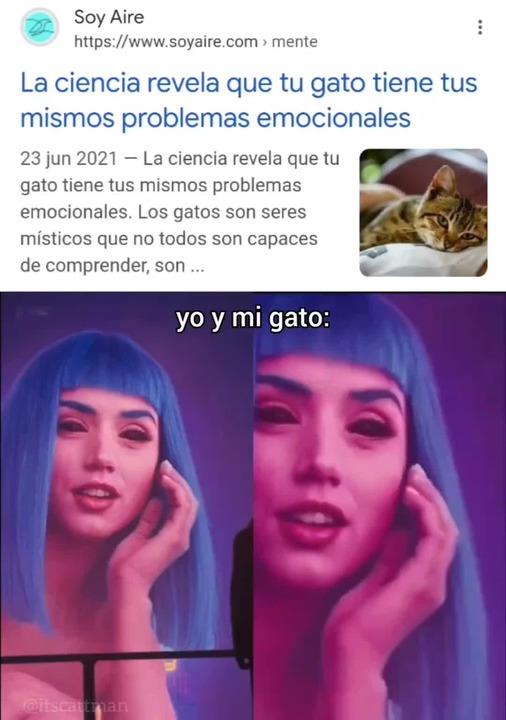 Mi gato esta triste - Meme subido por Holaqtalbien :) Memedroid