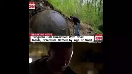 Immortal Snail - Meme by DigitalCoral :) Memedroid