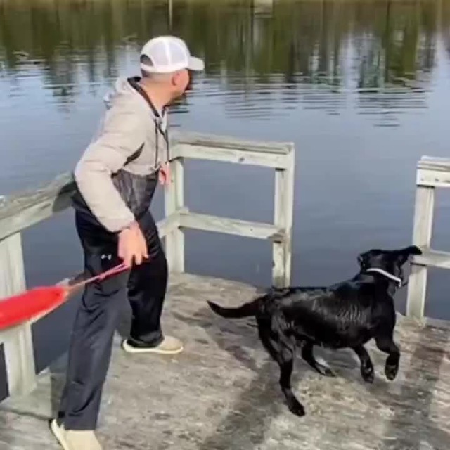 Scout, you gotta move -_- - Meme by H00man :) Memedroid