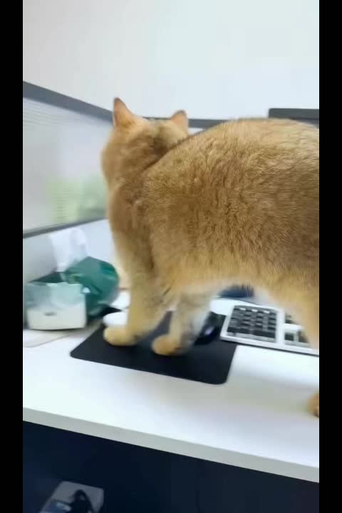 Tainted water bottle - Meme by Cliffy_99 :) Memedroid