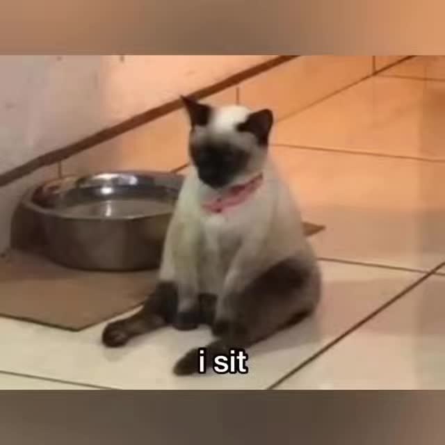 I sit - Meme subido por Knot_daddy :) Memedroid